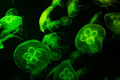 PageMe – Healthcare Communications